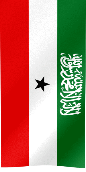 Flag of Somaliland (GIF) - All Waving Flags