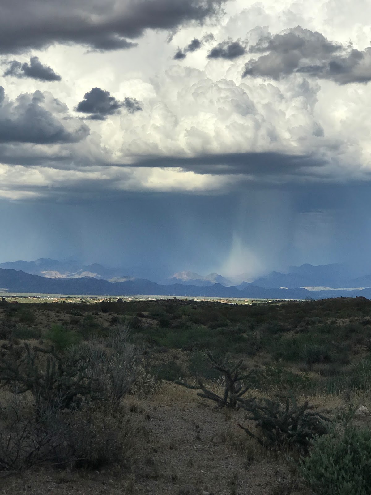 Things Have Changed: Arizona Monsoon