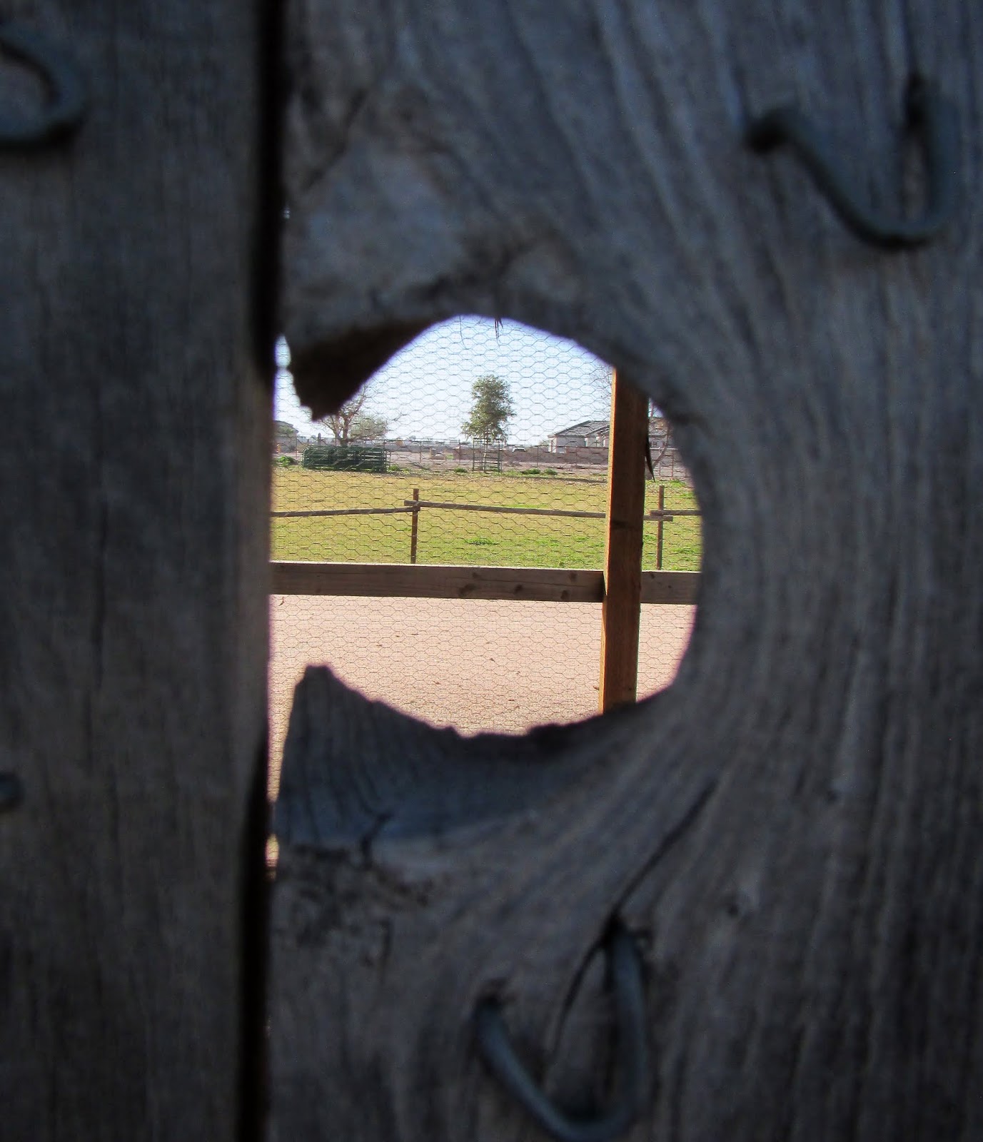 Tumbleweed Ranch Up Close