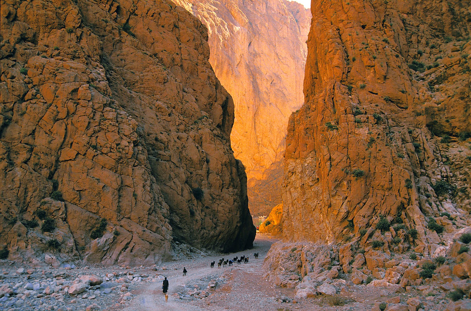5-five-5: Todgha Gorge (Morocco)