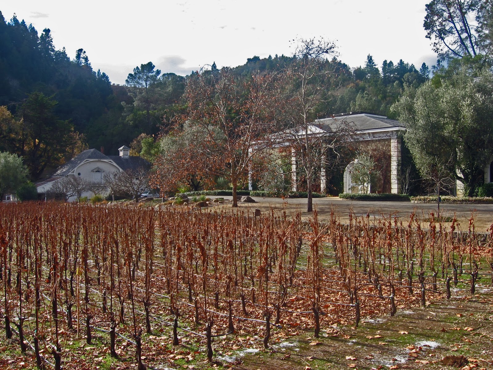 Bach to Bacchus: Spring Mountain Vineyard Revisited