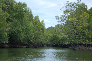 LIFE ON 'THE PENN': Kilim River Cruise: Langkawi Day Two
