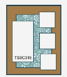 Stampin' With Sue: TSSC 319 - Birthday Card