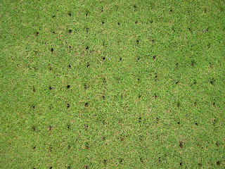 Dean Broughton Turfcare: "Needle Tining" or "Cluster Tining" with a ...