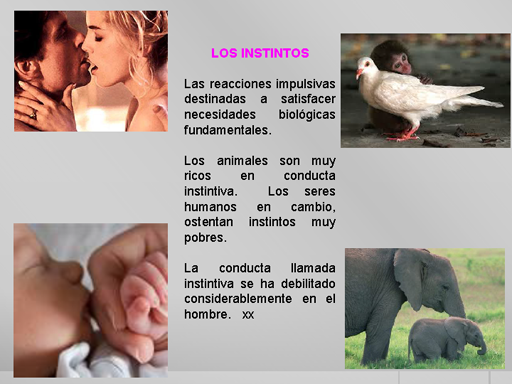 EL INSTINTO Y LA VIDA INSTINTIVA: EL INSTINTO Y LA VIDA INSTINTIVA