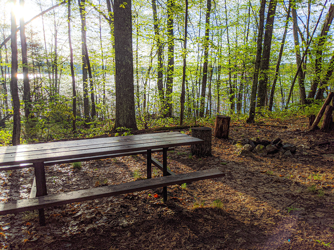 Hiking the Escanaba Lake Trail in Vilas County