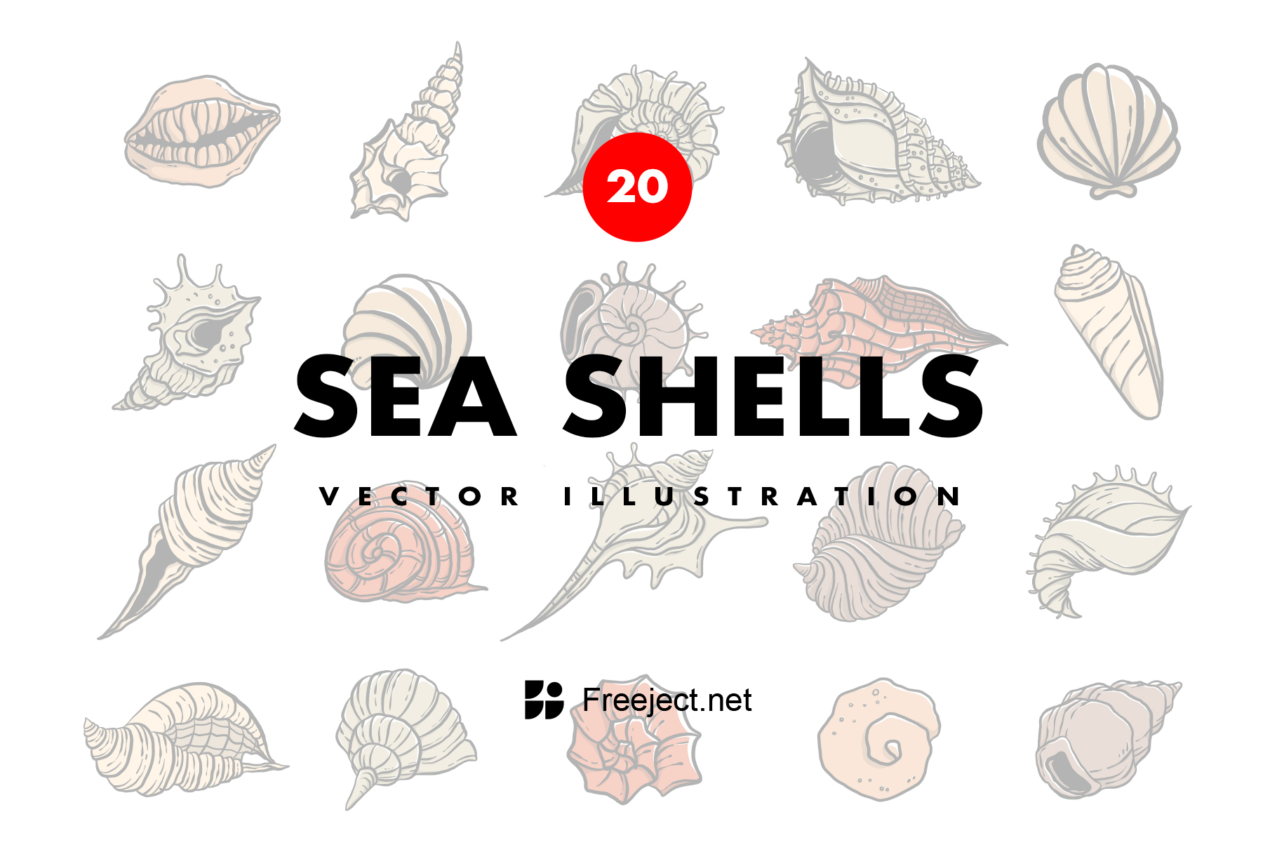 Free DEMO Sea Shells Vector Illustration