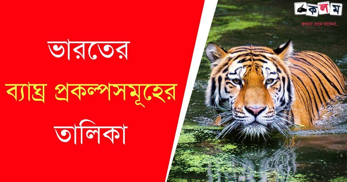 PDF List Of pdf-list-of