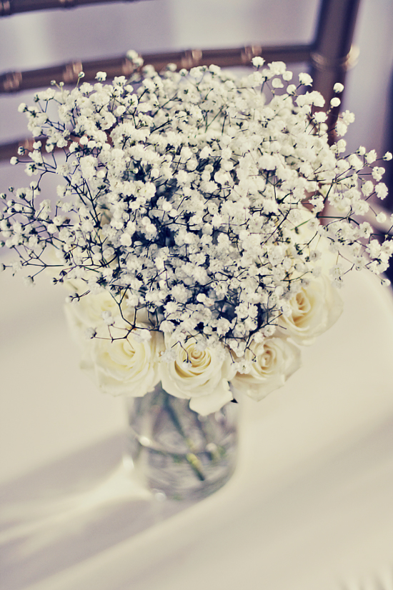 Diário de uma Noiva Feliz...: Flores Gipsofila