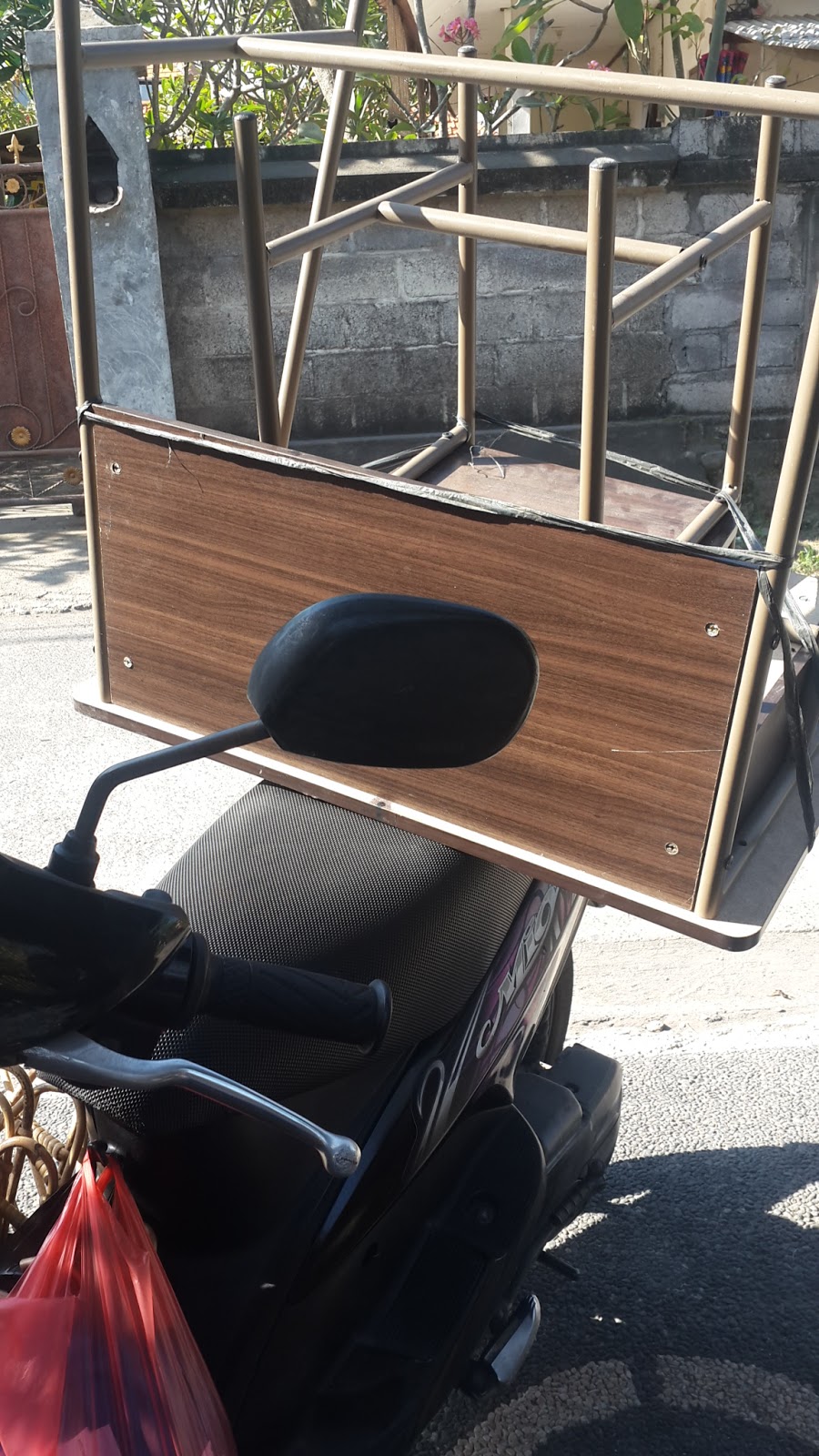 dbee Curly's Curiosity: Single