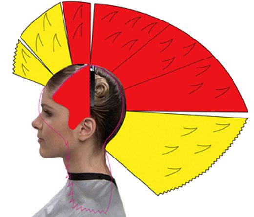 Salon: Pemangkasan Datar Pola Garis Pangkas Lurus (Solid Form ...