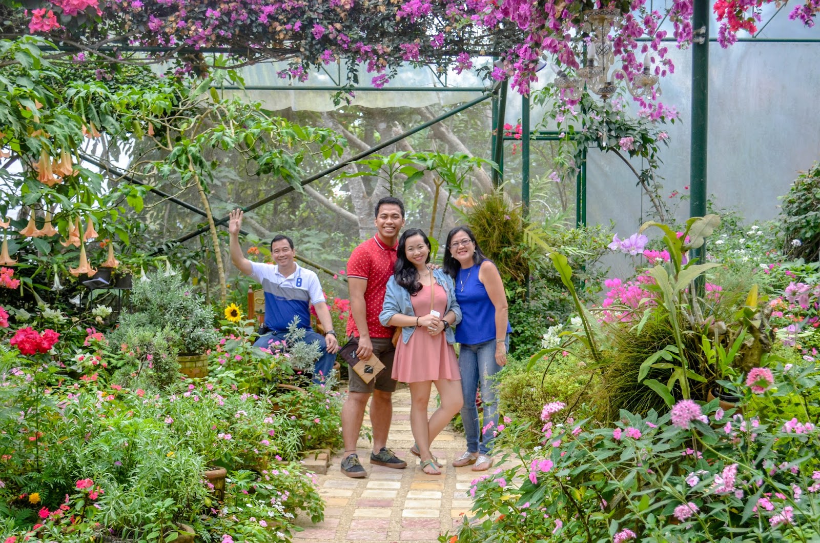 8 Reasons to Visit Sonya's Garden