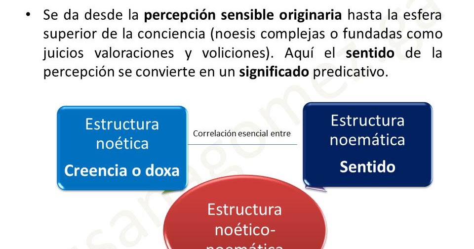 .WEBLOG DRA. SUSANA GÓMEZ O.: ESTRUCTURA NOÉTICO-NOEMÁTICA