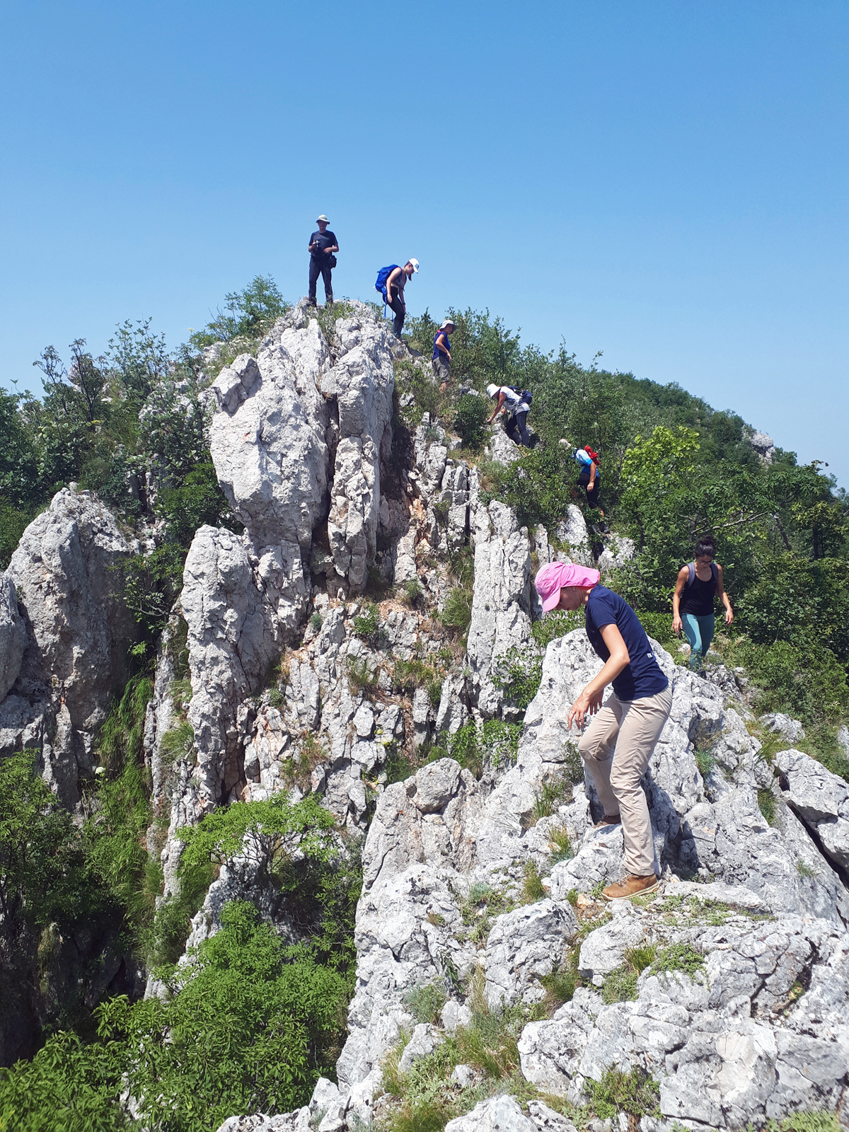perpetuuM Mobile: Greben planina
