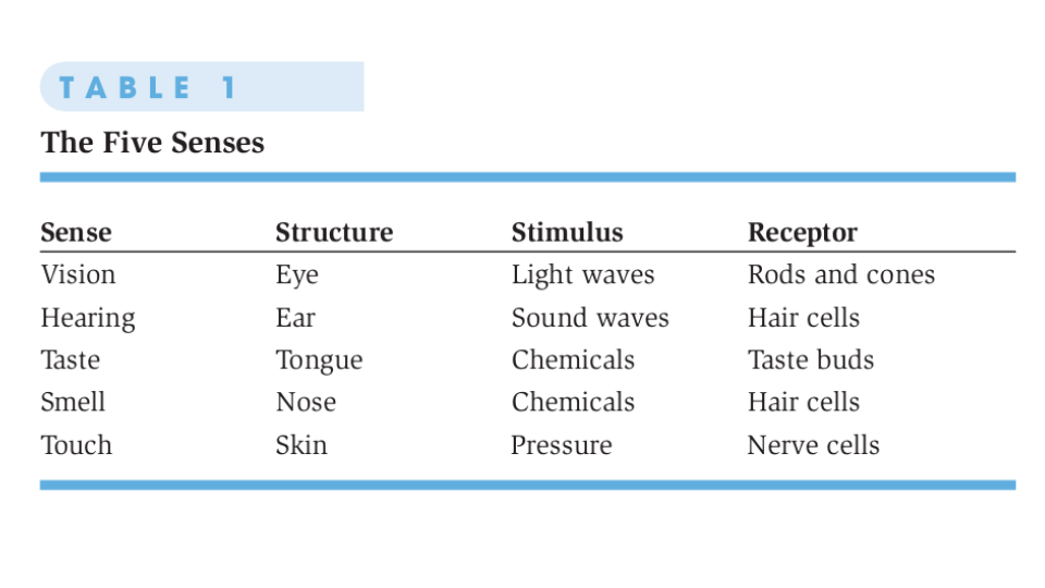 PSIKOLOGI KOGNITIF - SENSASI, PERSEPSI, DAN ATENSI