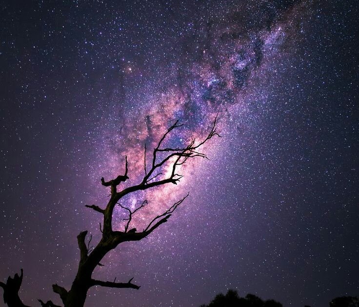 daily timewaster: Excellent Composition