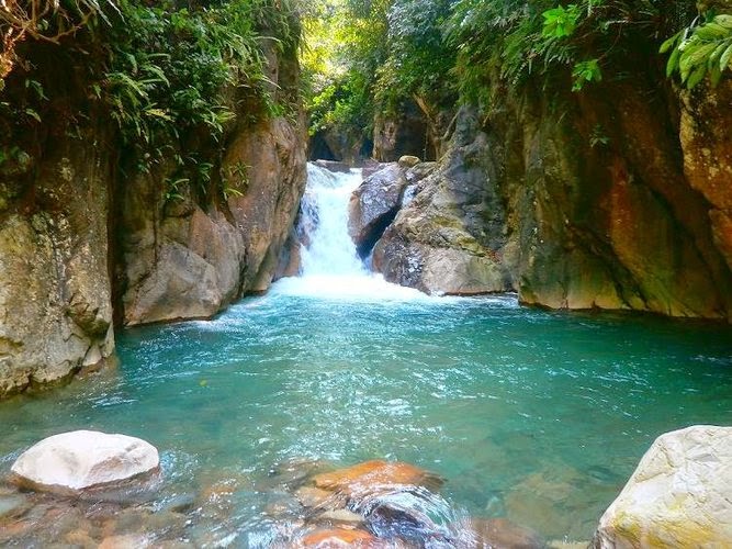 Wisata ke Kota Bogor dan Puncak yang Sejuk: Keindahan Tersembunyi Dari ...