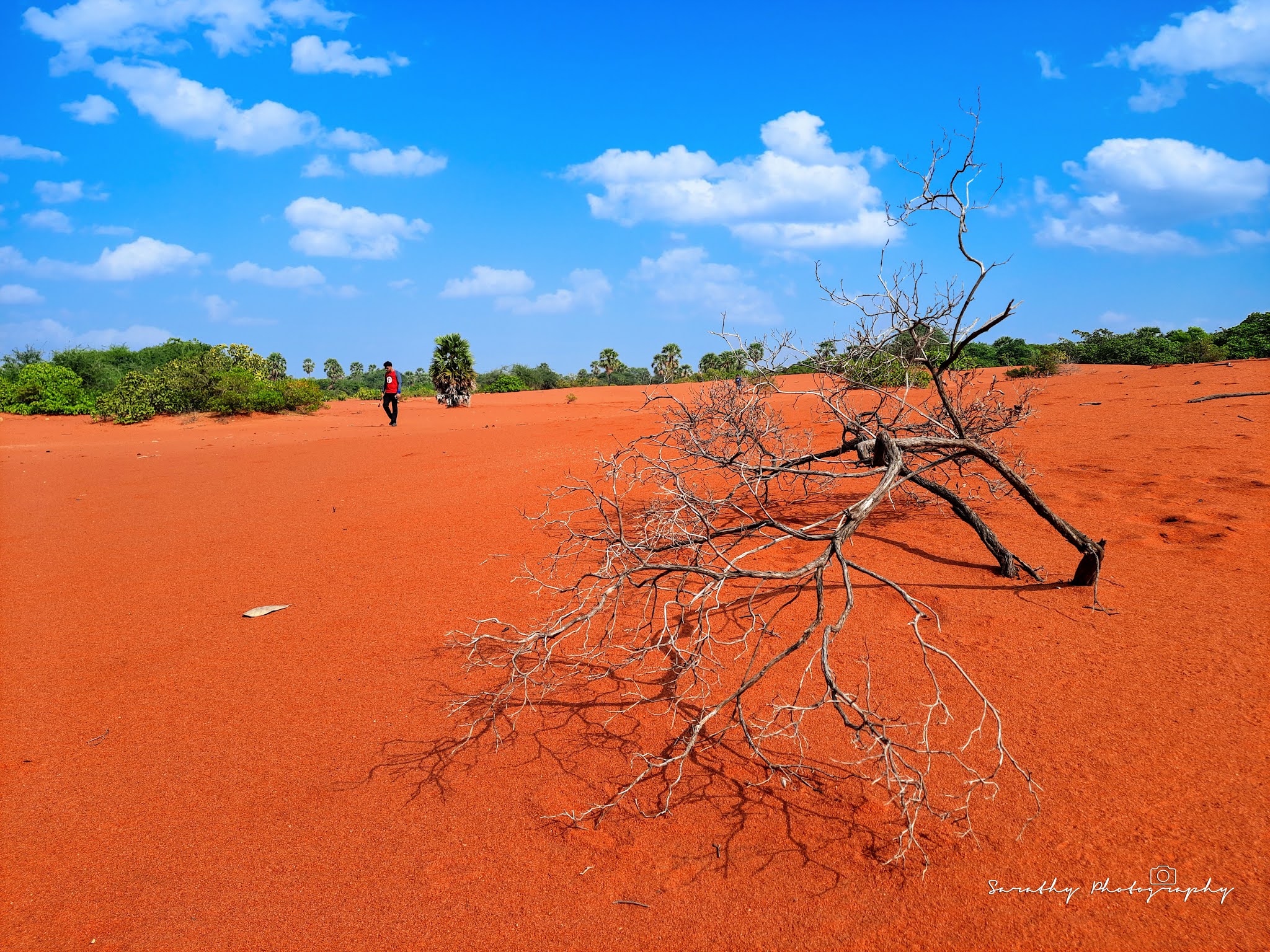 Kazhugumalai Temples and Therikadu Desert