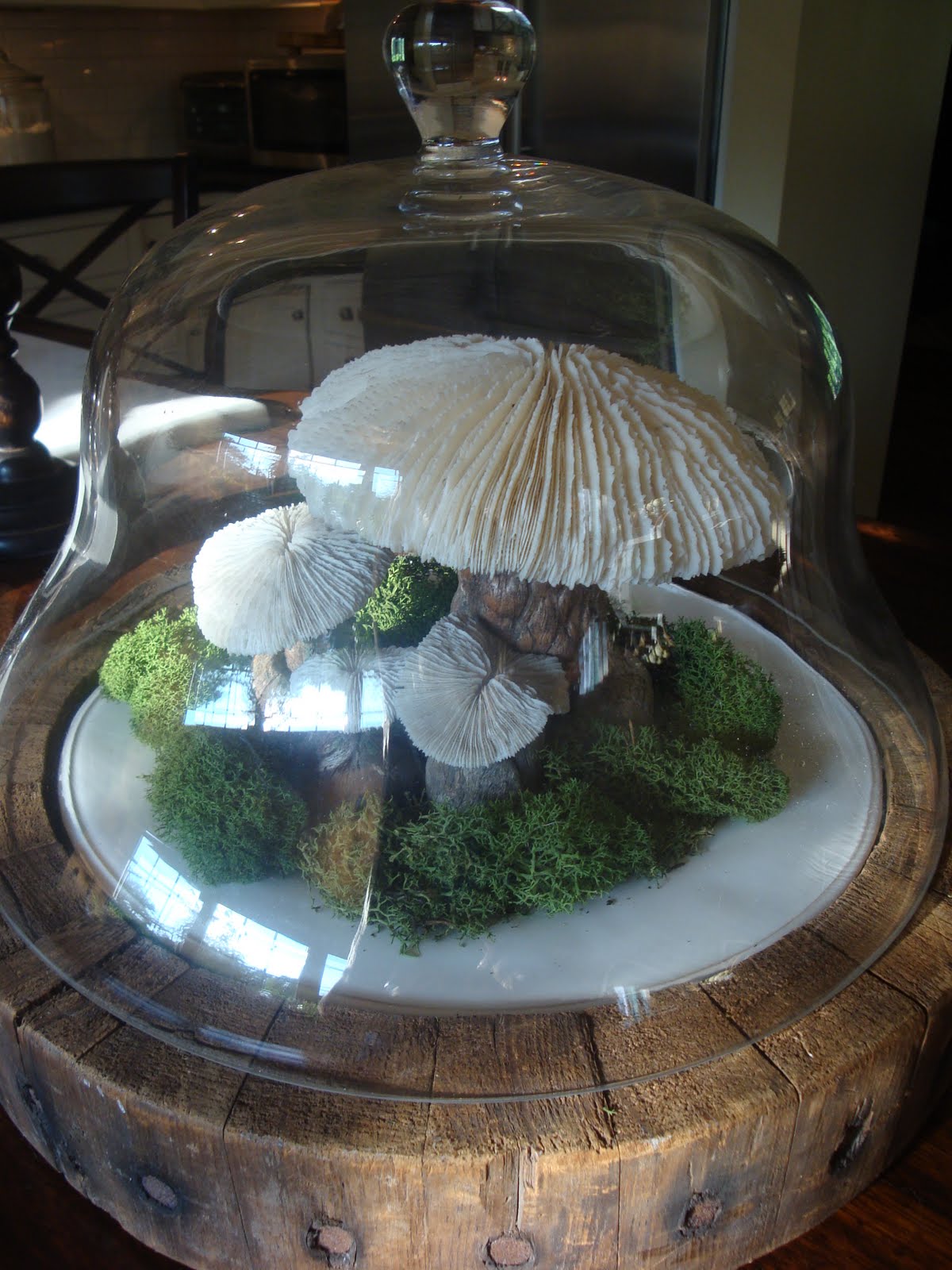 The Polohouse: What's in your cloche?