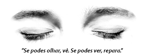 Profe Raquel Zaccaria: A DIFERENÇA ENTRE O VER E O OLHAR