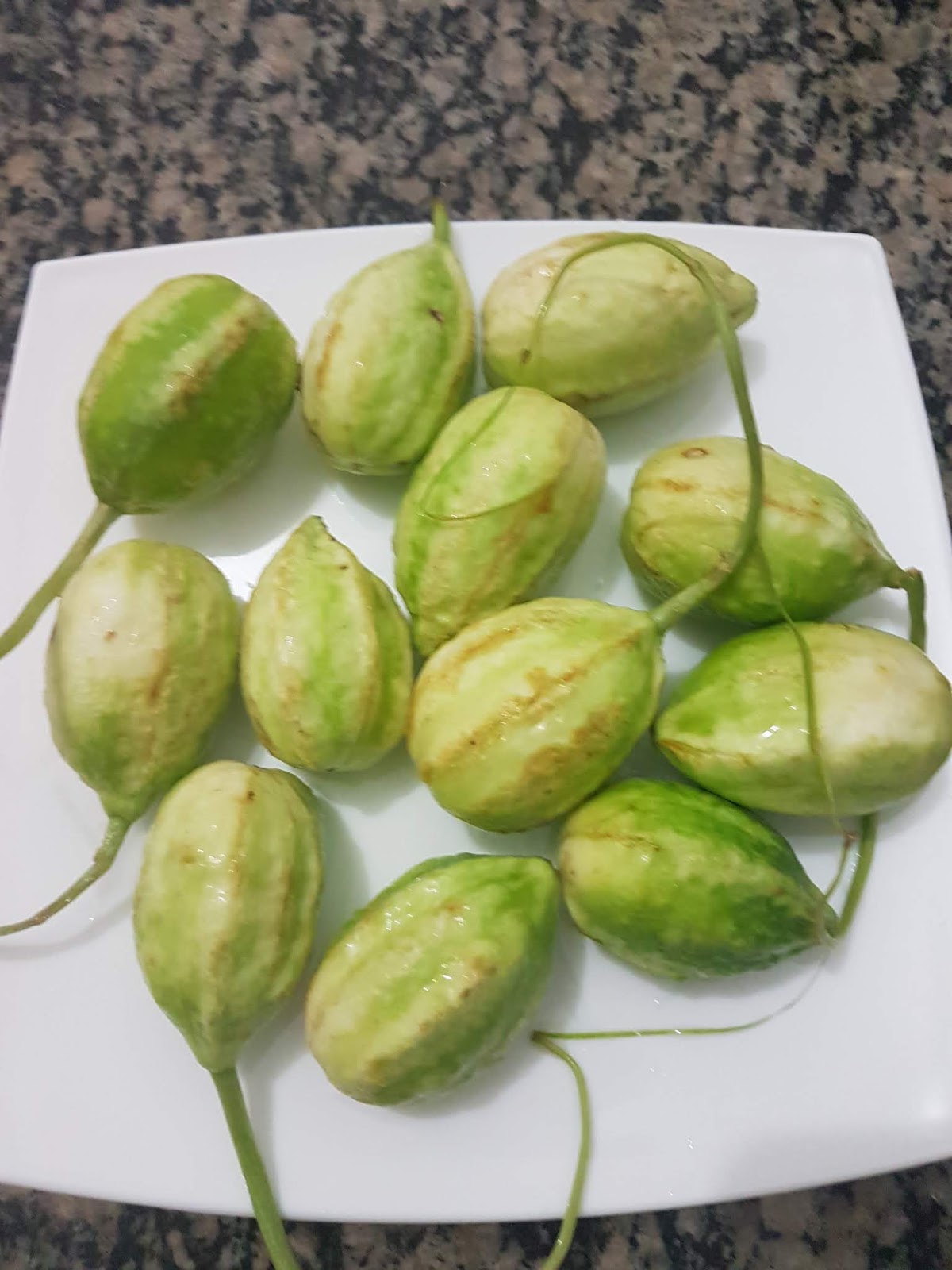 MAXIXE GRATINADO COM CARNE MOÍDA ~ Restauranter