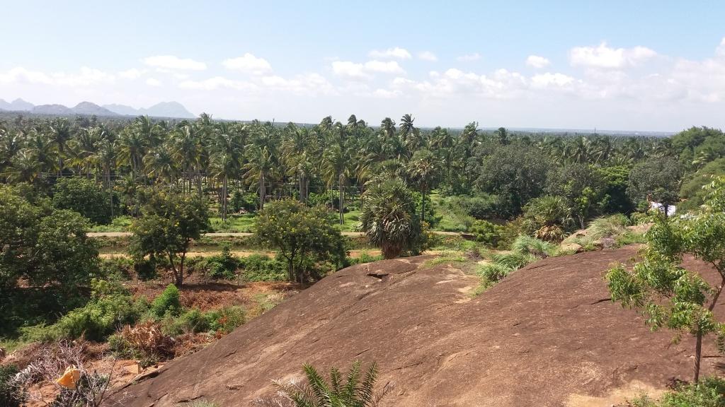 Tamilnadu Tourism: Kumara Gurubaran Temple, Thazhakudy, Kanyakumari