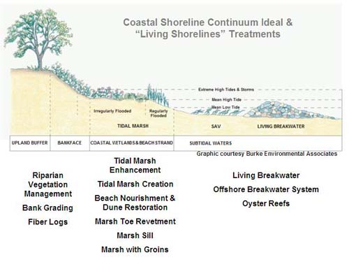 The Current - The Official Ocean and Coastal Blog: OCC Presents at ...