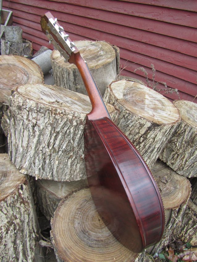 c.1916 Weymann Style 20 Mandolute Mandolin