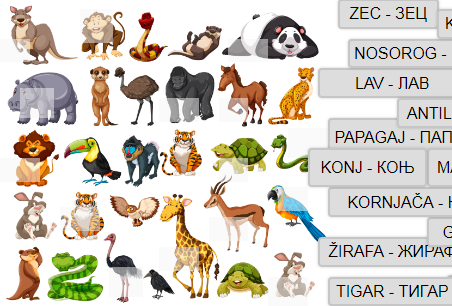 Wild Animals in Serbian - Learn Serbian