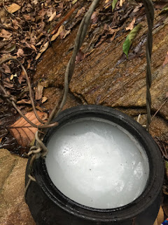 Learning to Live Peace: Tapping Kithul Palm