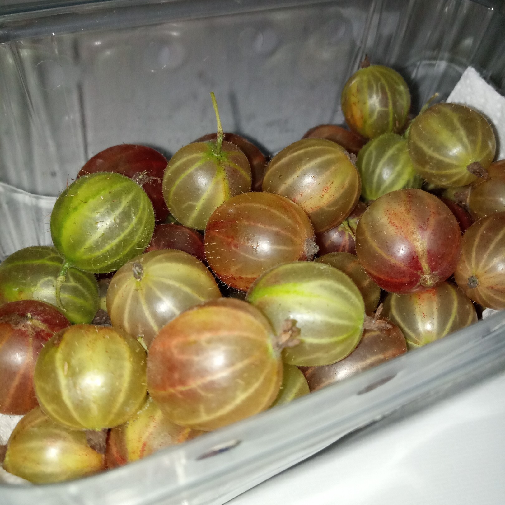Supersupergirl's Food Reviews: Pink gooseberries