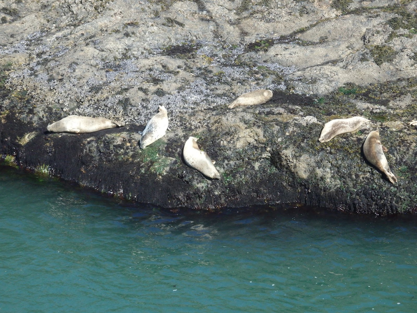 2 On the Road: World's Smallest Harbor