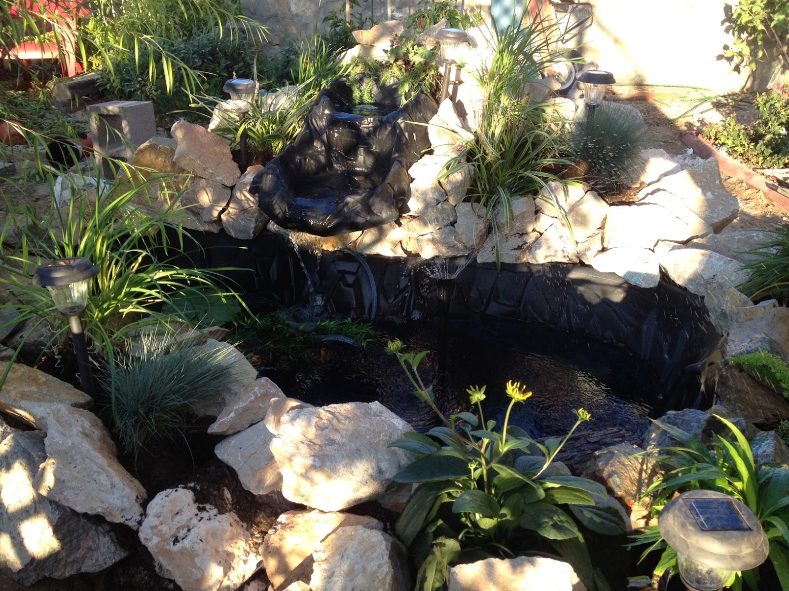 Weigle Wed and Southern Bred