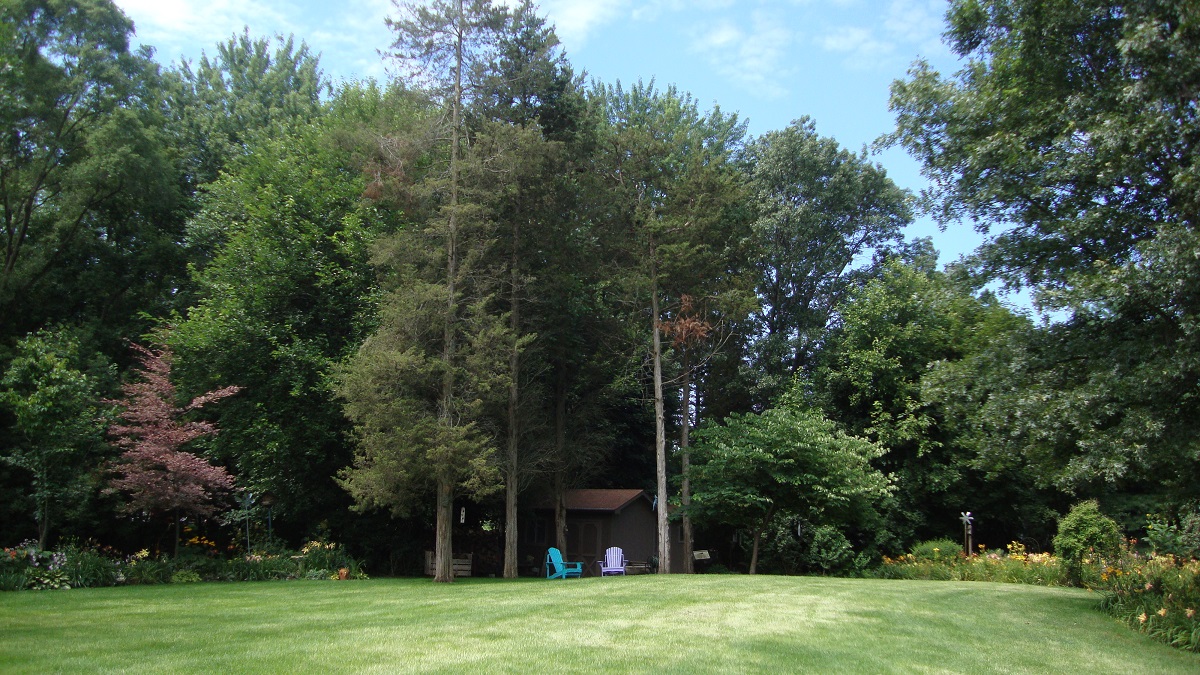 dean's garden: more from the visit of Phyllis's garden in West ...