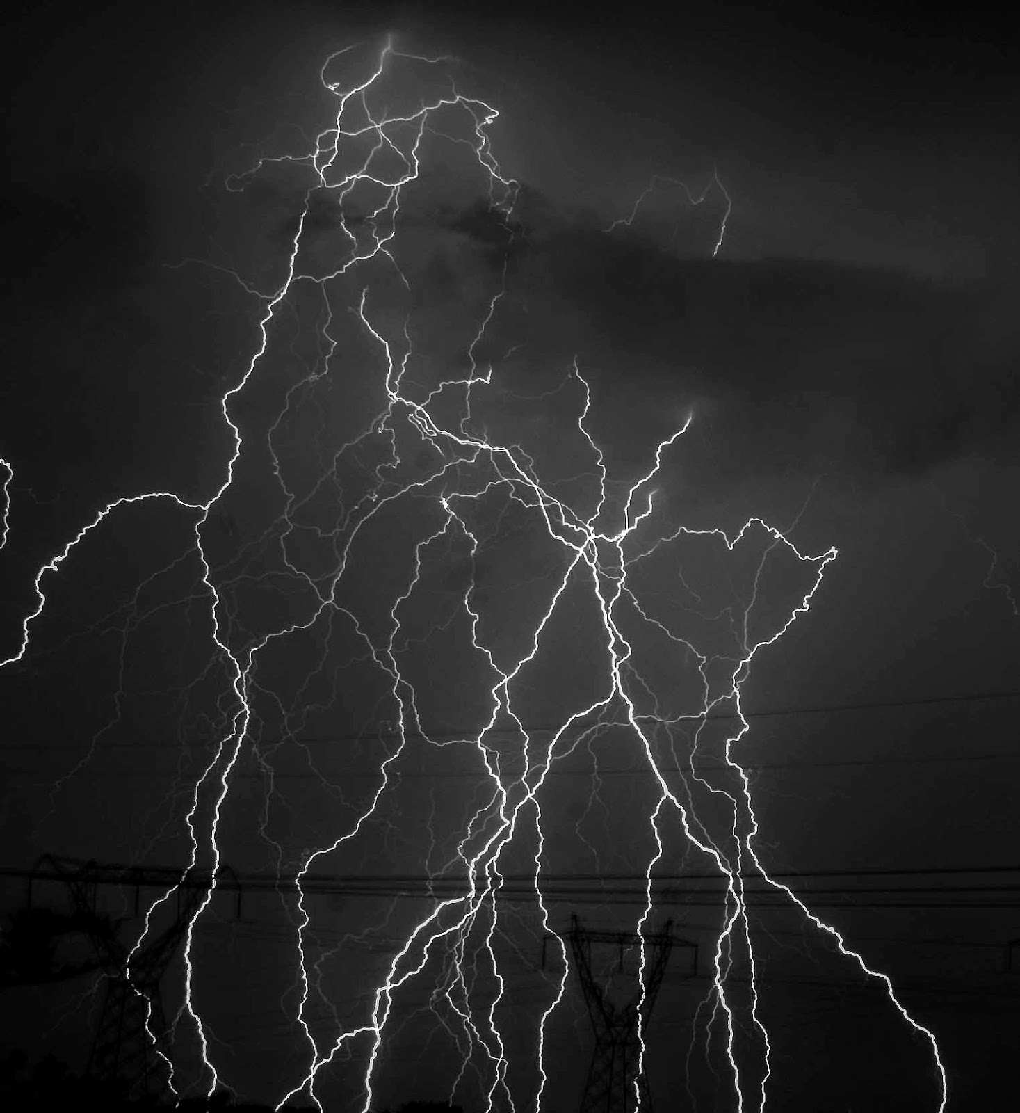 The Great Wildebeest Migration: African White Lightning