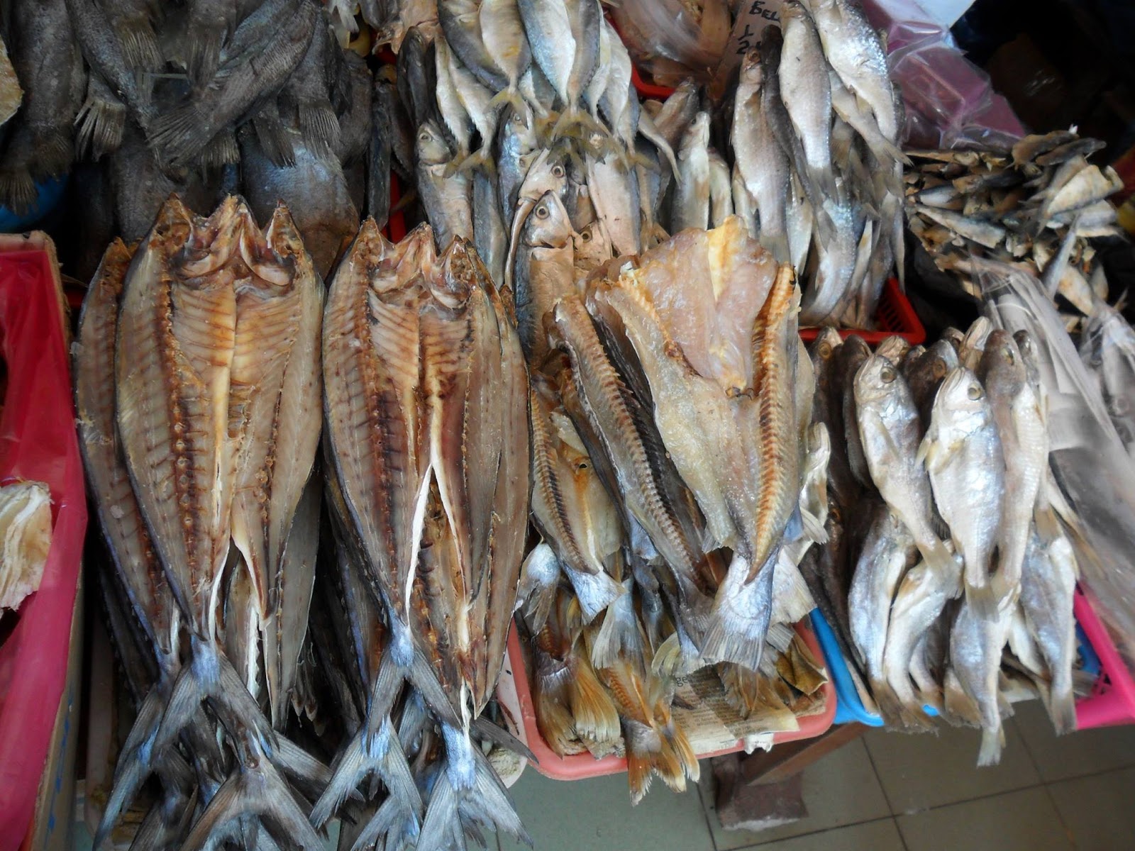 HASIL LAUT PAKSU - TOURISM MANJUNG