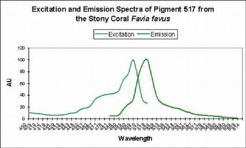 JackDanielReef di Daniele Russo: Come rendere i coralli più colorati ...