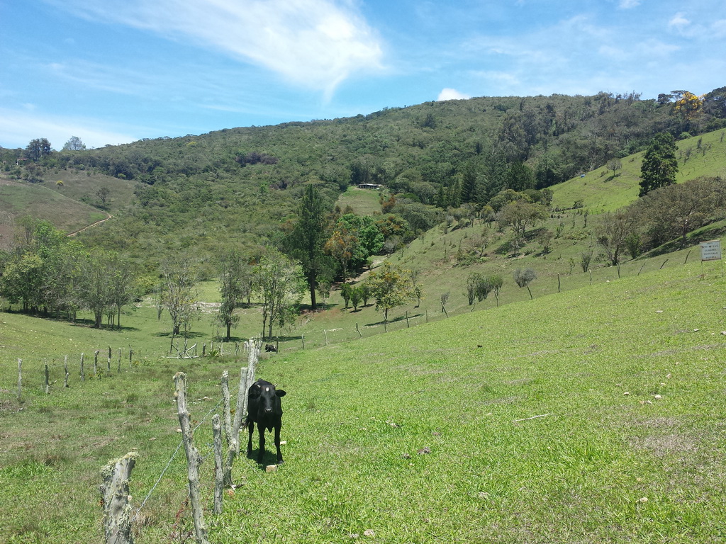 Montañismo, trekking, mapas y rutas, turismo en venezuela: PARAMO LA ...