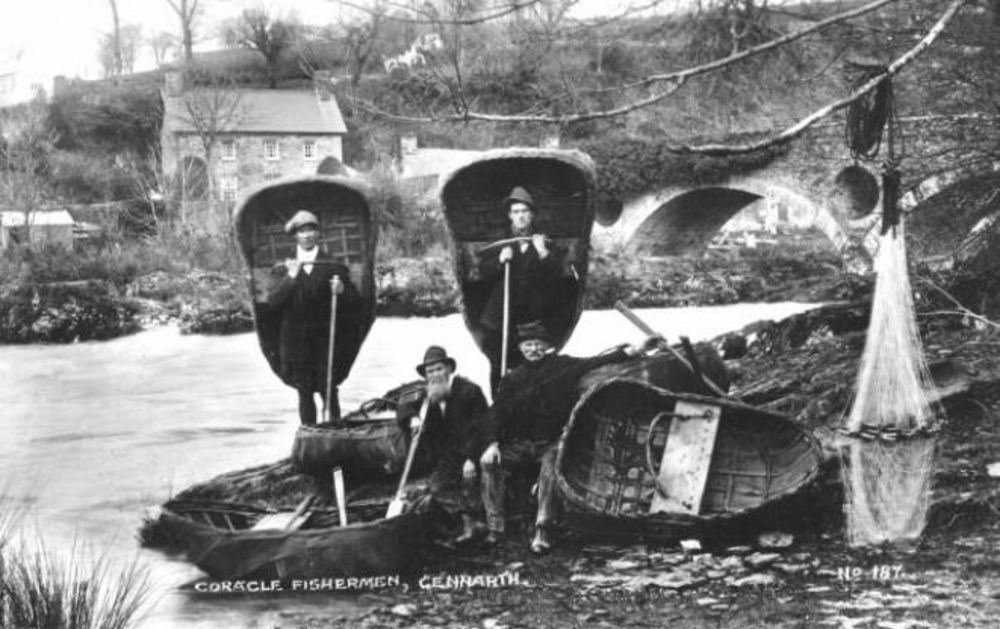 Vintage Photographs of Welsh Coracle Men With Their Catch of Fish in ...
