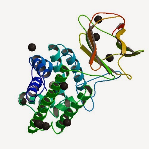 Principles of Protein Structure: July 2014