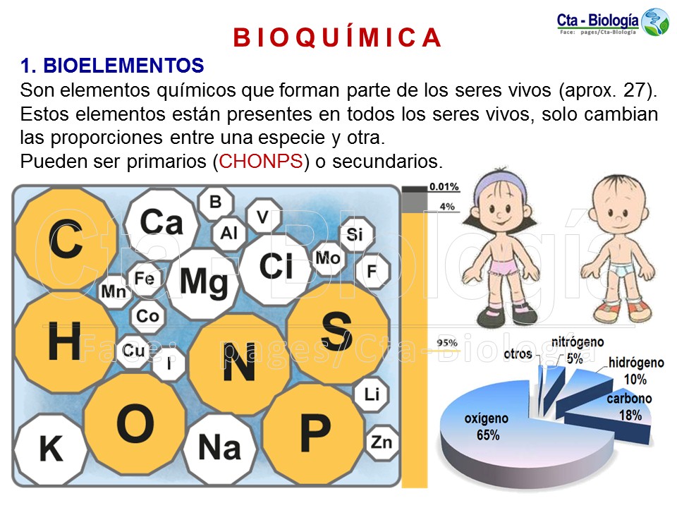 Biología didáctica: NSC 4° BIO - Bioelementos y Agua