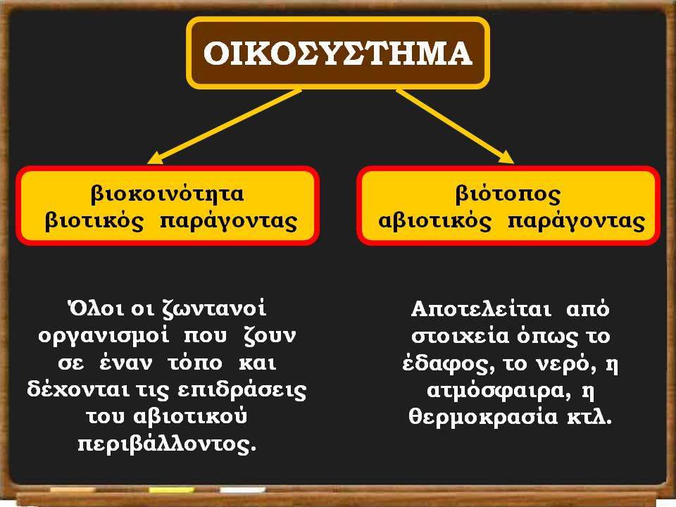 "Και τώρα στην ... Τετάρτη !!! Καλώς Ήρθατε!!!": Ενότητα 6η : ΟΙΚΟΣΥΣΤΗΜΑΤΑ