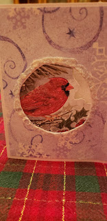 Life is Like a Roll of Toilet Paper