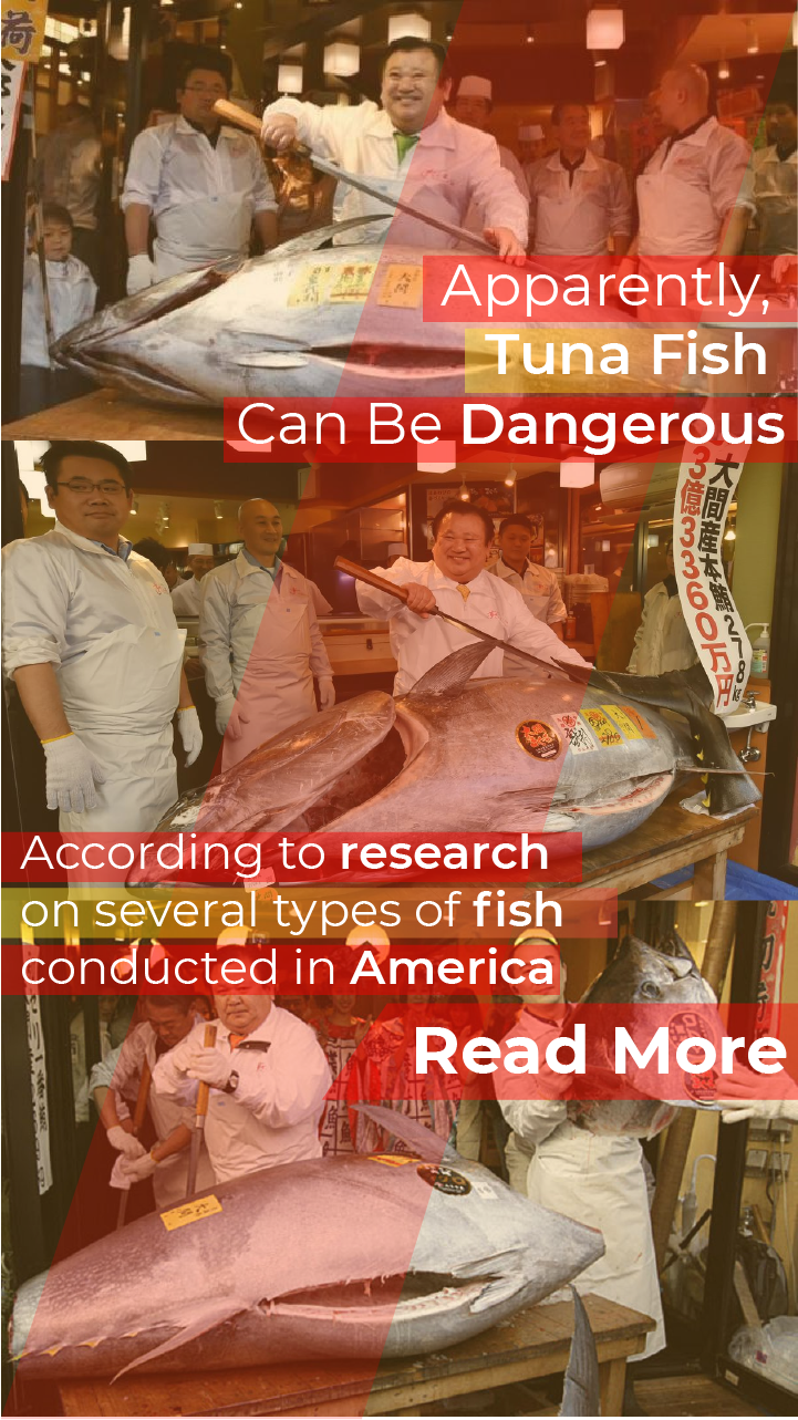 Apparently, Tuna Fish Can Be Dangerous ~ Healthy Recipes | Beauty ...