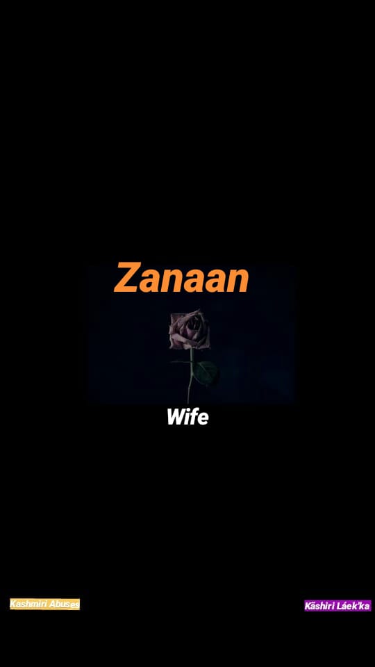 Top 60+ kashmiri curses,cuss words.Top kashmiri gaali.