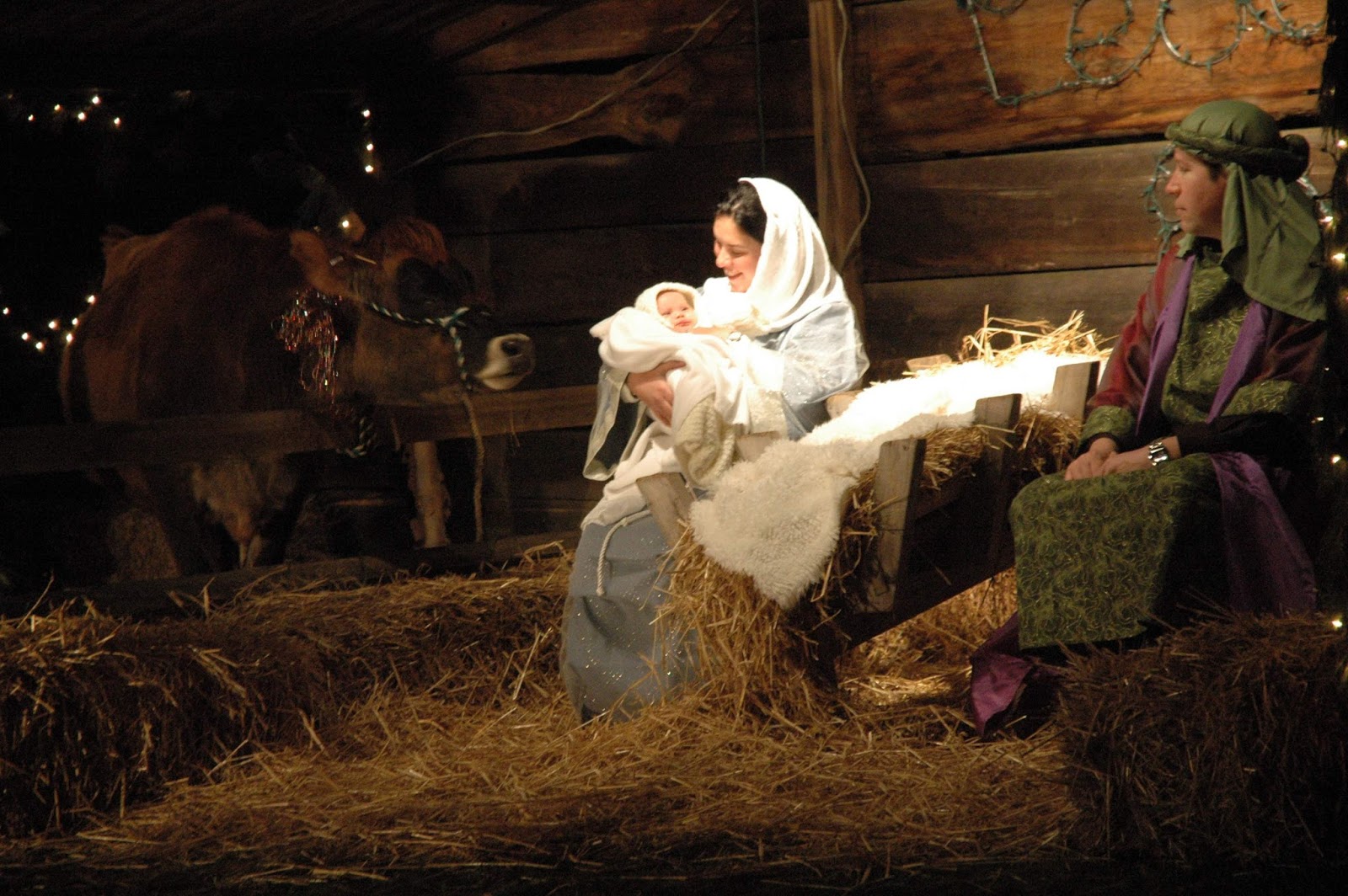 Scripture for Today: Isaiah 9:6-7 ~ The zeal of the Lord of Hosts will ...