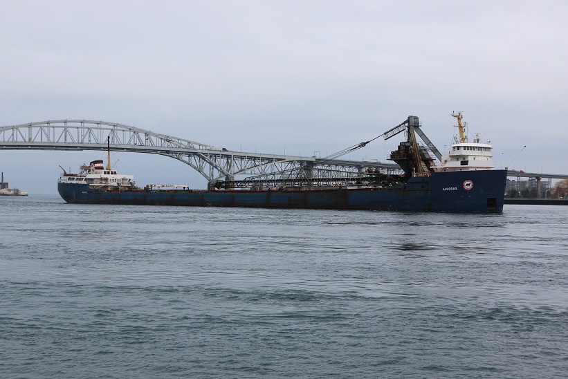 Michigan Exposures: And the Algorail