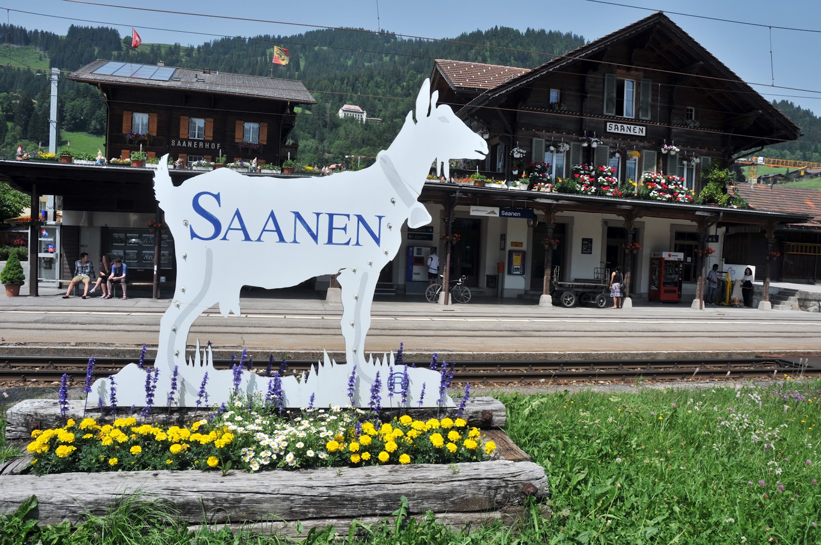 Happy Horizons: The DDLJ diaries