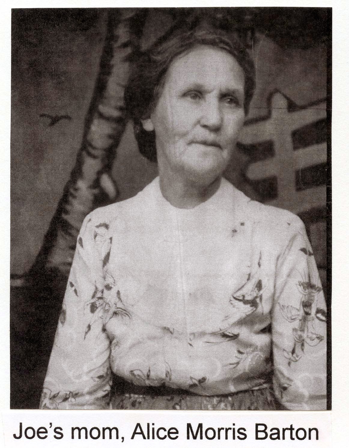 Greenville Utah Cousins: Violet Alice Morris Barton 1889-1977 History ...