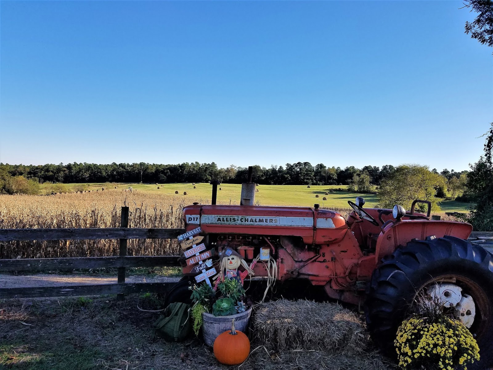 Another Mile Another Destination Blog: Steed’s Dairy Farm and The Corn ...